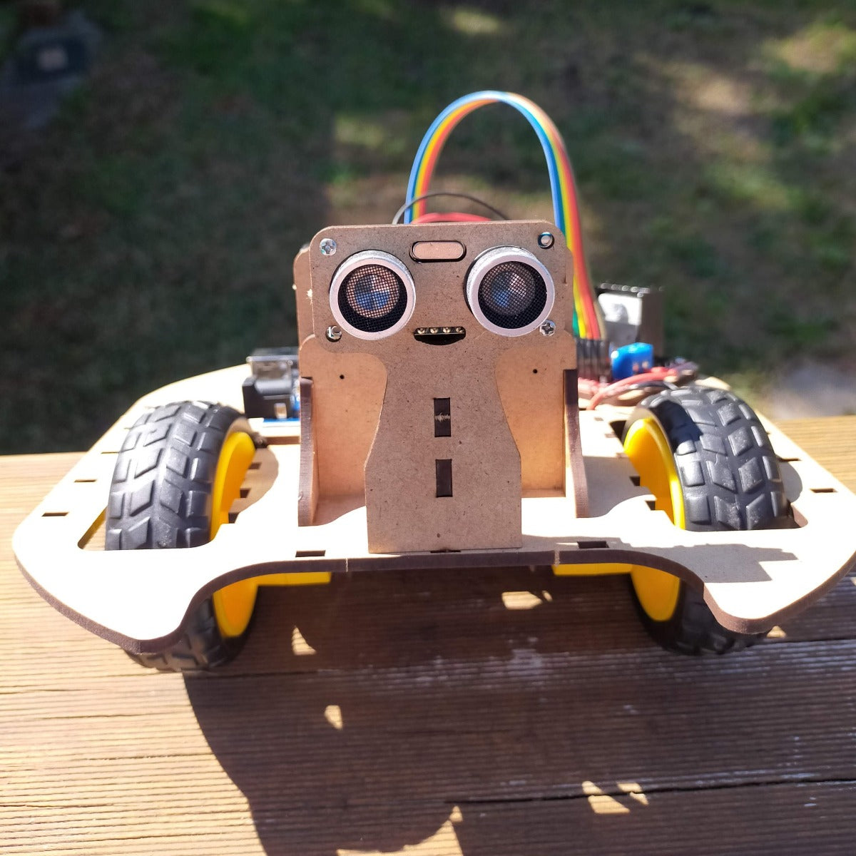 Hayne Robotics | The Arbot